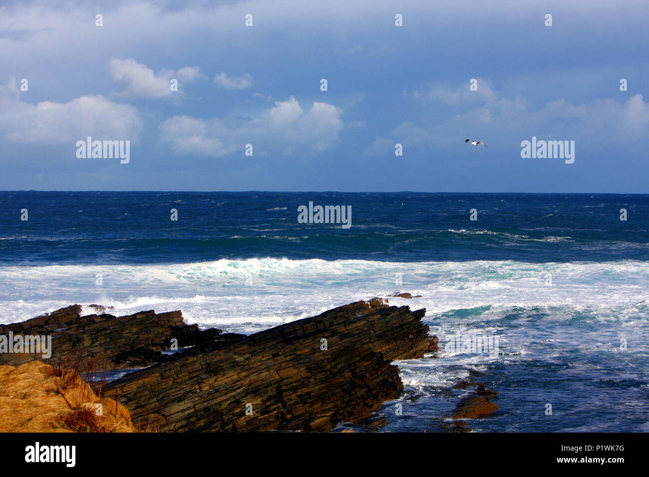 Meere energie -Fotos und -Bildmaterial in hoher Auflösung – Alamy