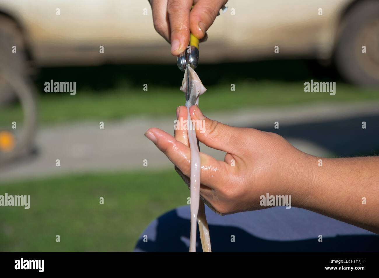 Authentische Bauernhof Kochen - Nahaufnahme von Frau Hände reinigt ...