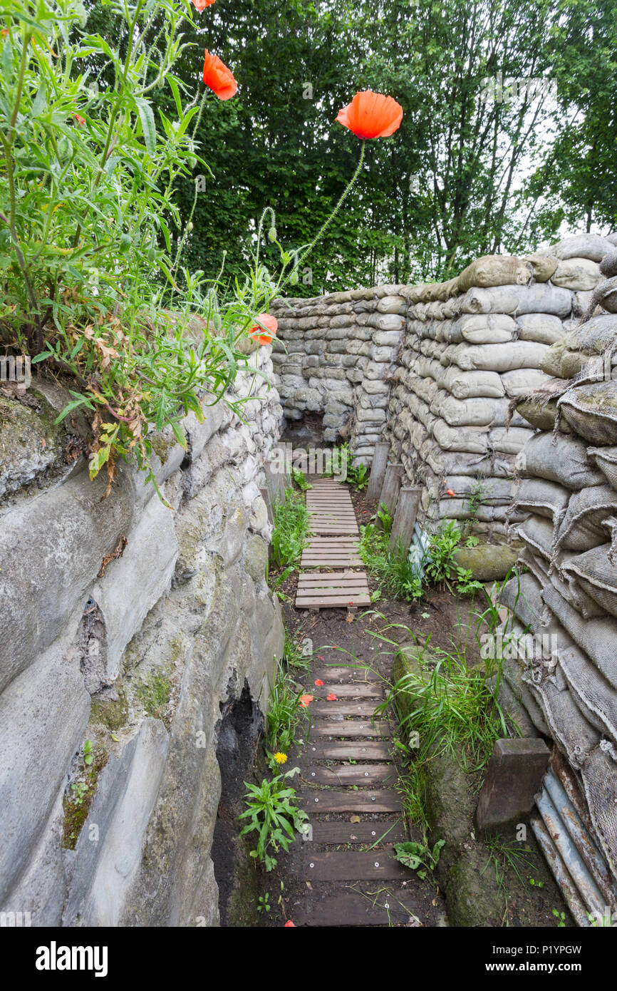 Wwi trenches -Fotos und -Bildmaterial in hoher Auflösung – Alamy