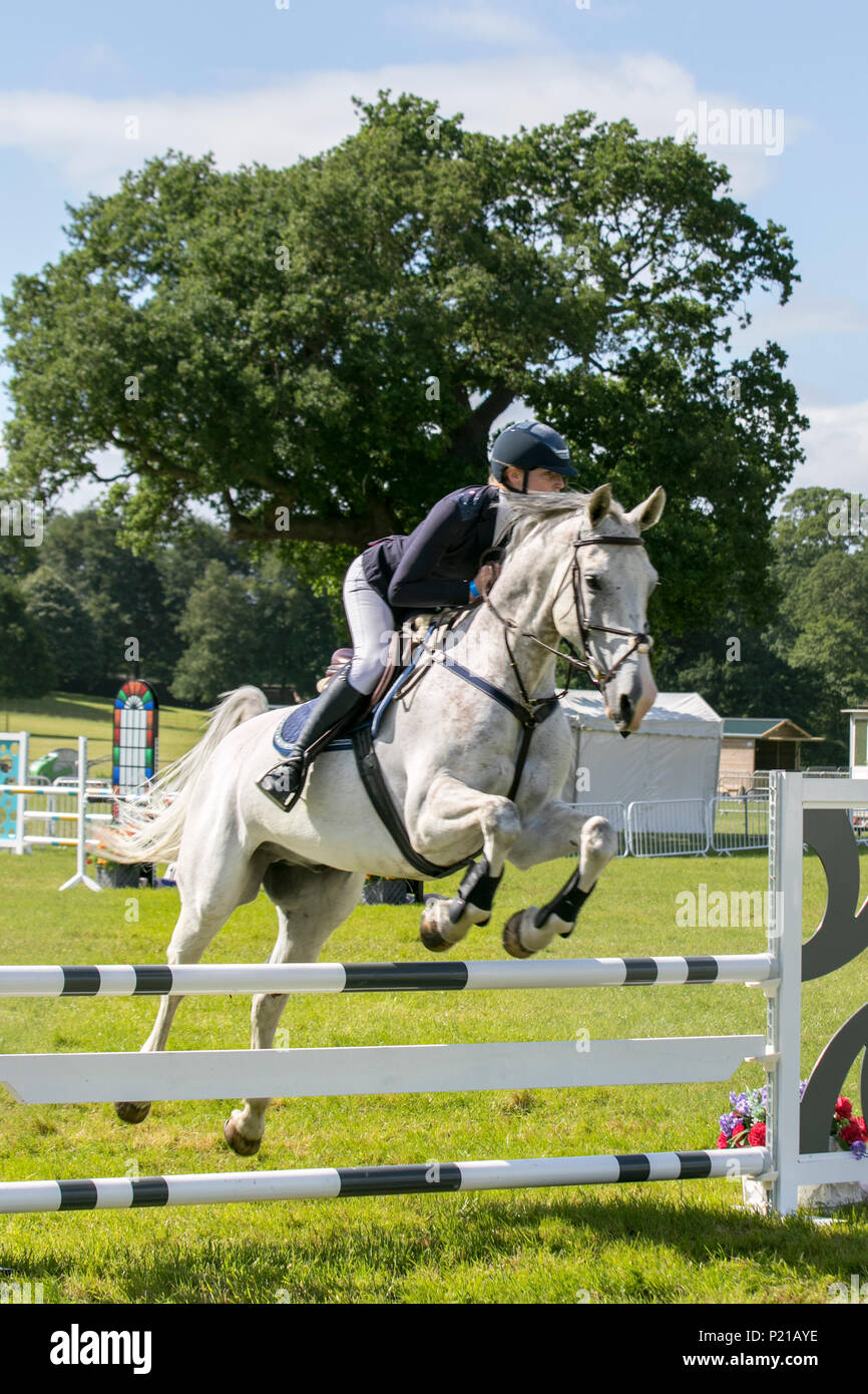 Internationales springreitturnier -Fotos und -Bildmaterial in hoher ...