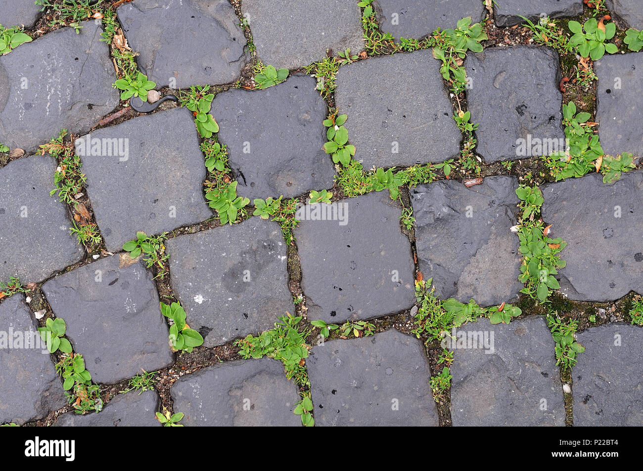 Close up sett steinboden in einer stadt -Fotos und -Bildmaterial in ...