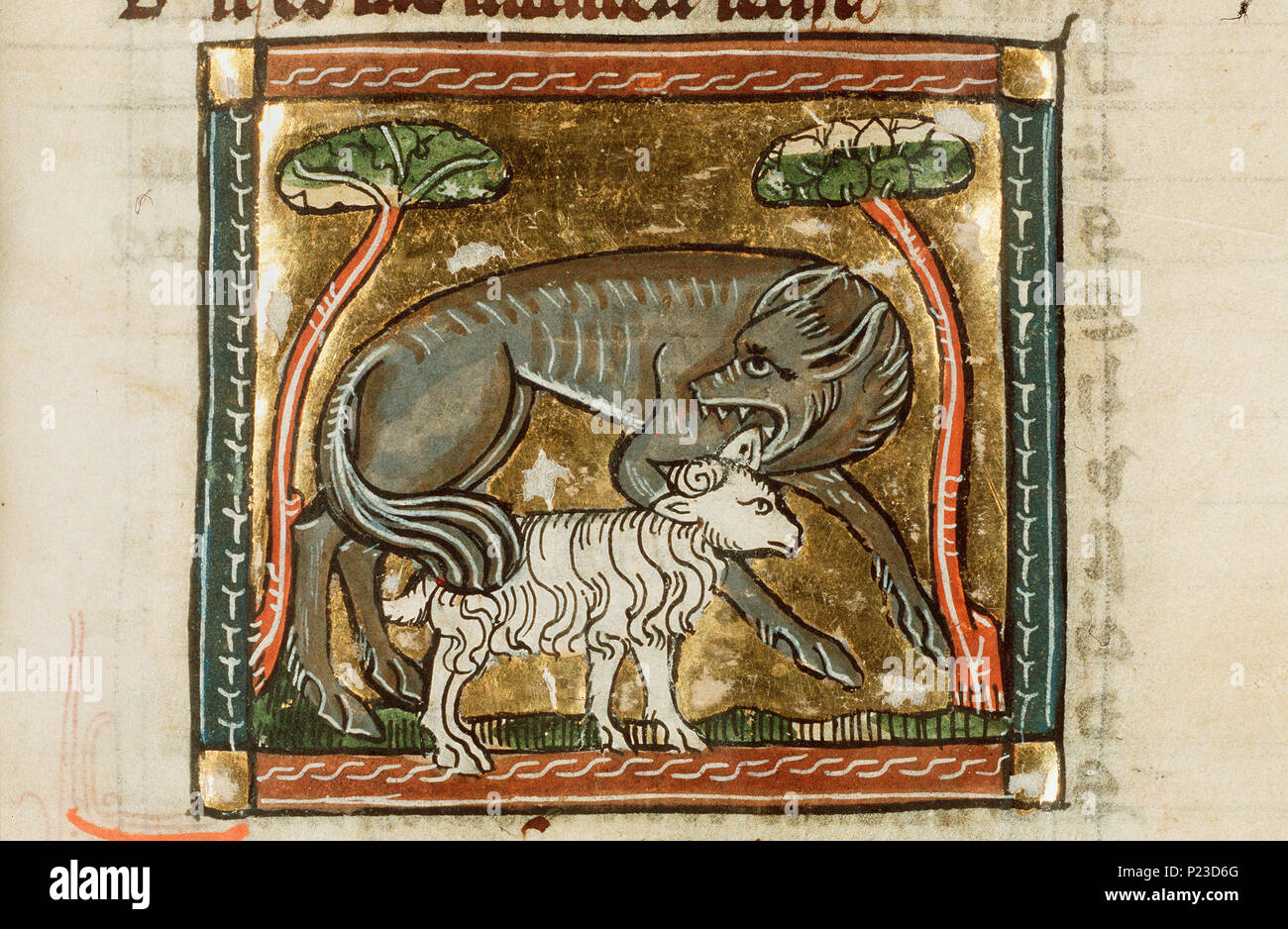 Wolf und lamm -Fotos und -Bildmaterial in hoher Auflösung – Alamy