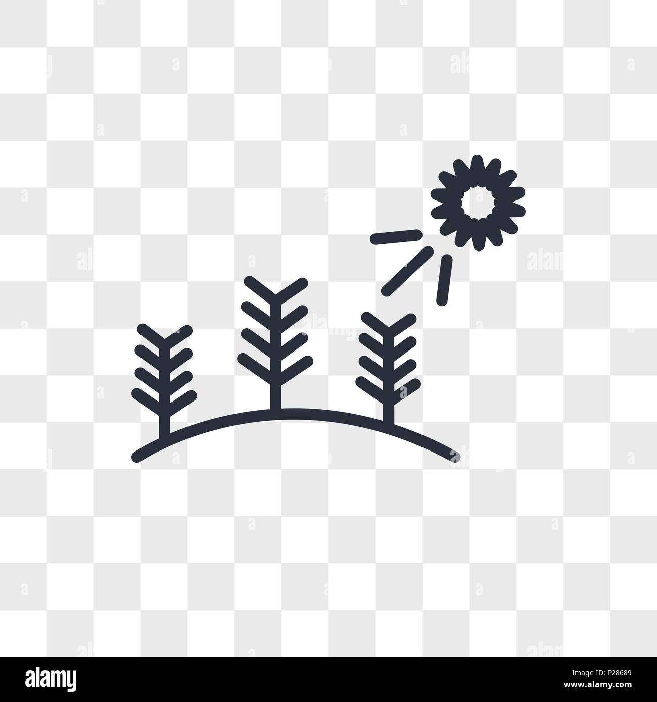 Wald vektor Icon auf transparentem Hintergrund isoliert, Wald logo ...