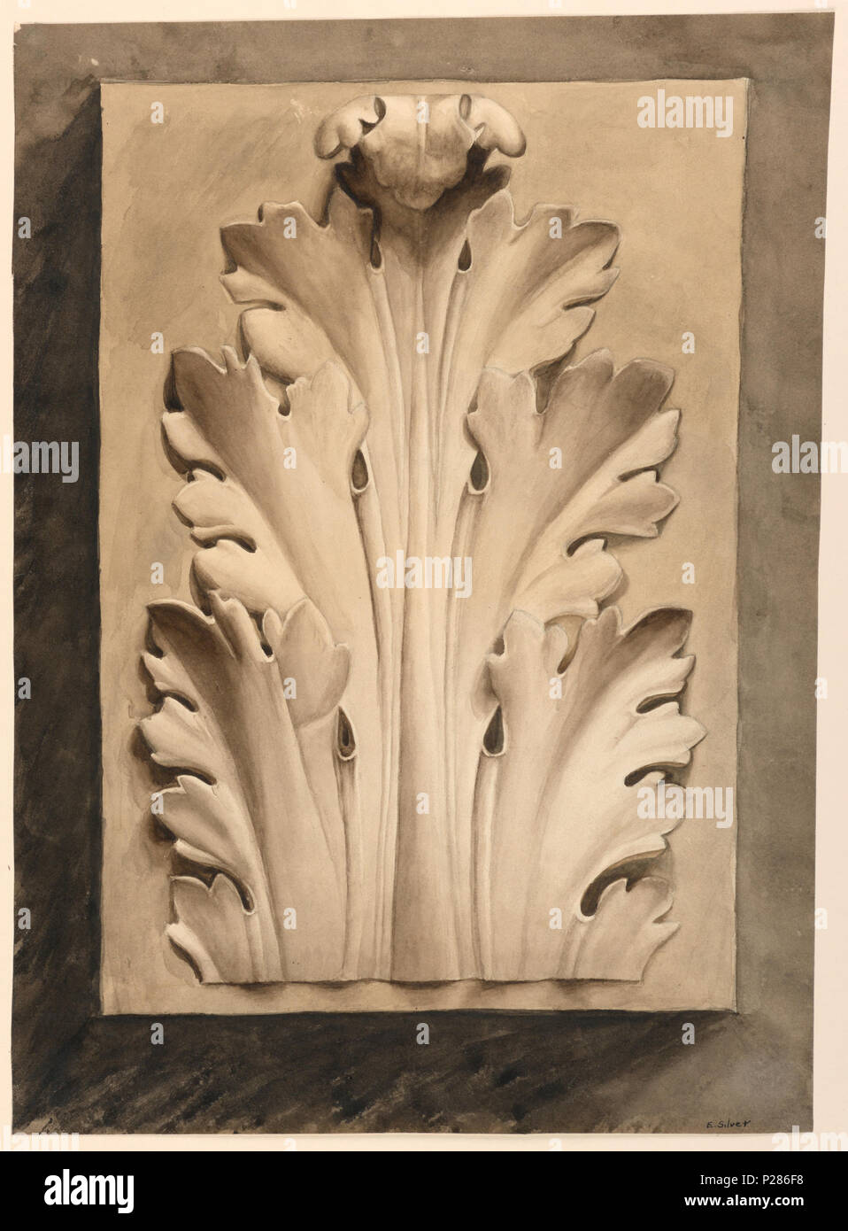 Akanthusblatt zeichnung -Fotos und -Bildmaterial in hoher Auflösung – Alamy