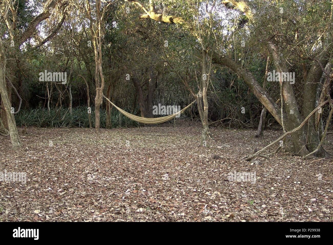 Paraguayische hängematte -Fotos und -Bildmaterial in hoher Auflösung ...