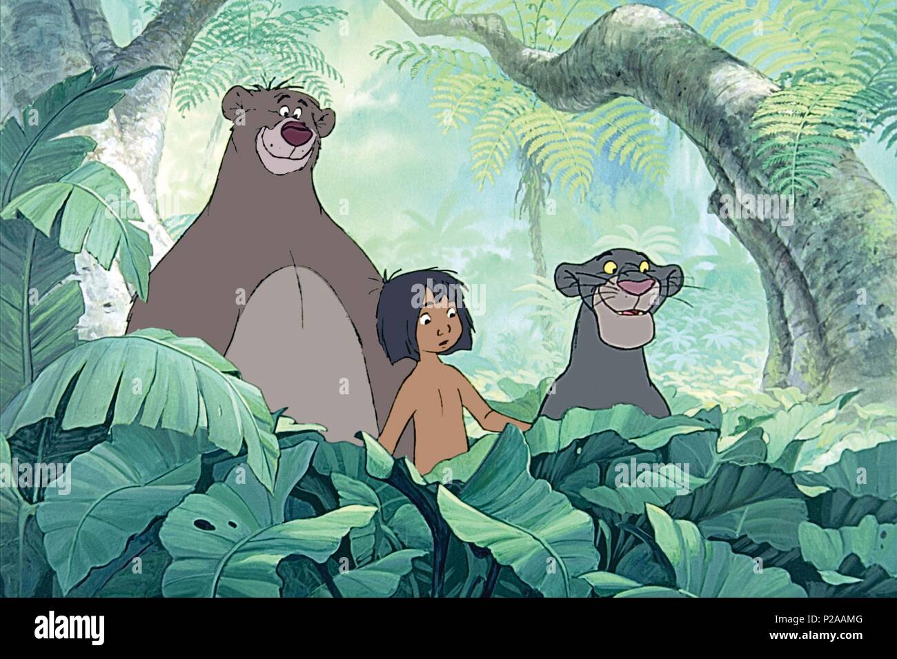 Original Film Titel: DAS DSCHUNGELBUCH. Englischer Titel: THE JUNGLE ...