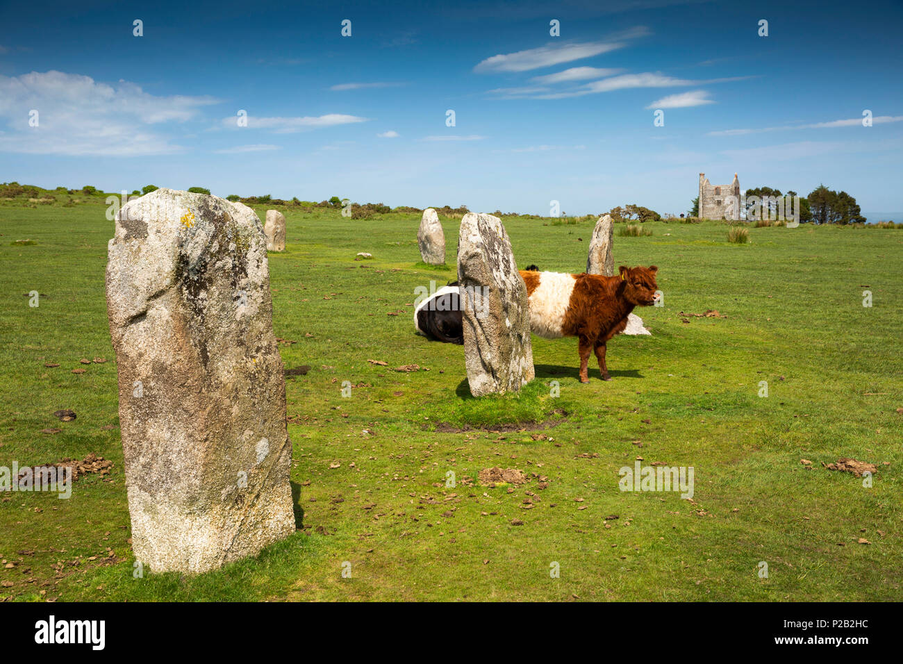 Neolithic cow -Fotos und -Bildmaterial in hoher Auflösung – Alamy