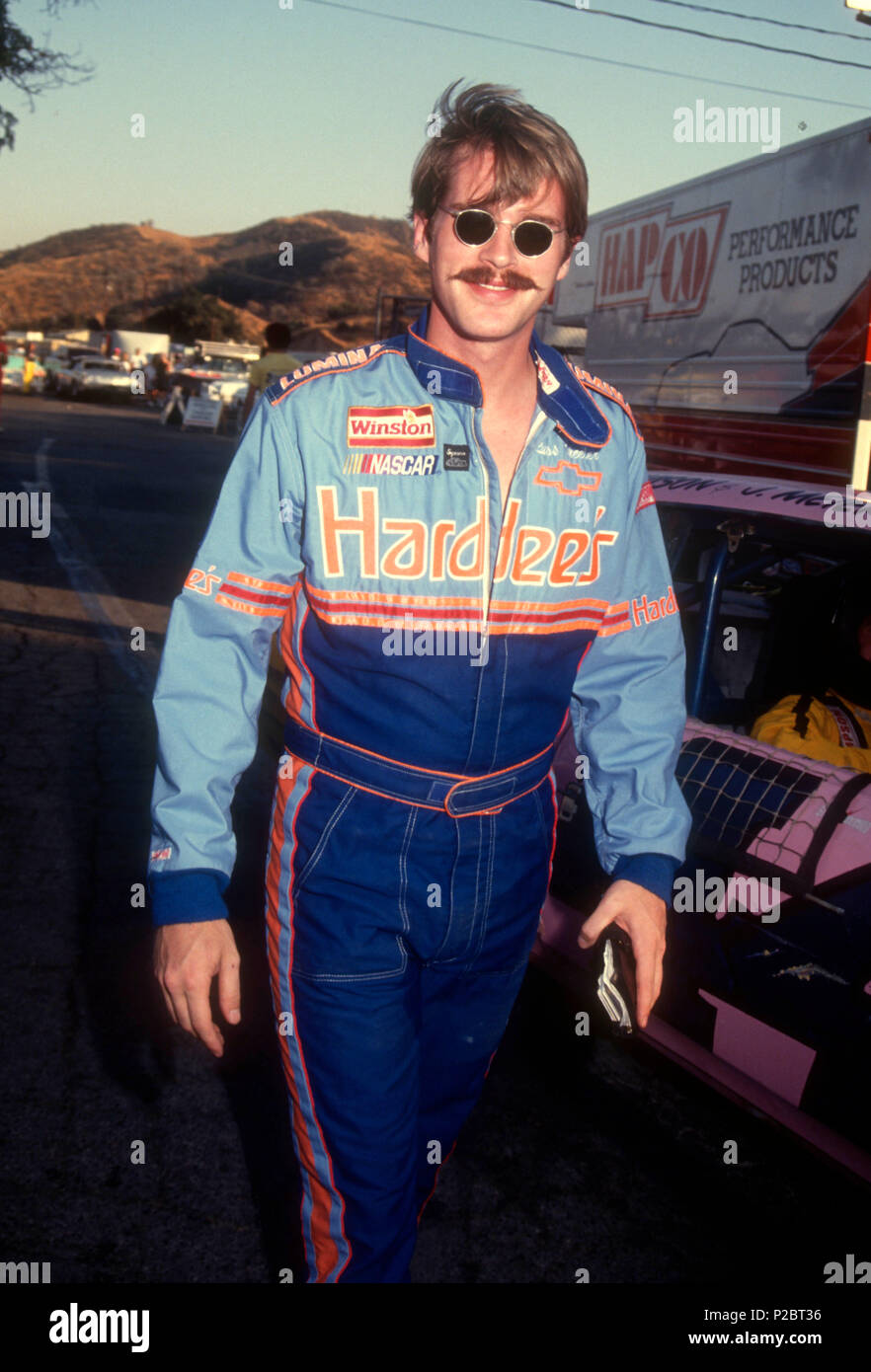 Reid rondell -Fotos und -Bildmaterial in hoher Auflösung – Alamy