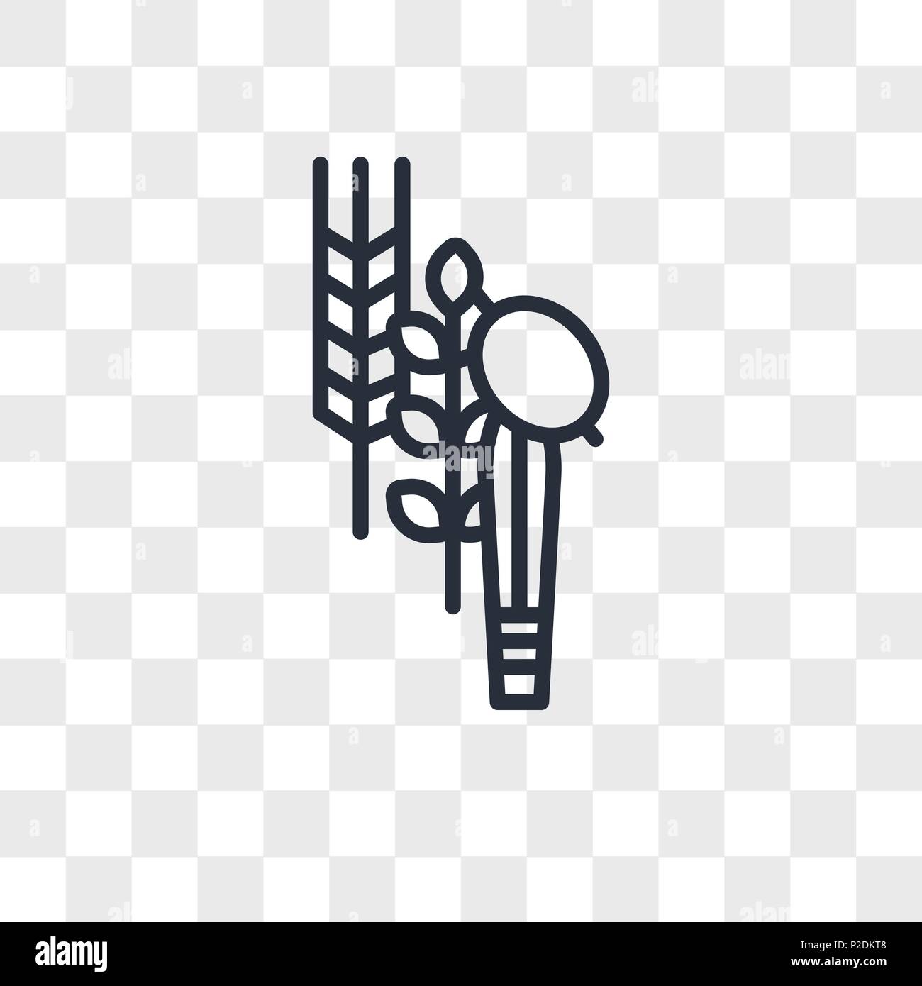 Vier Arten vektor Icon auf transparentem Hintergrund isoliert, vier ...