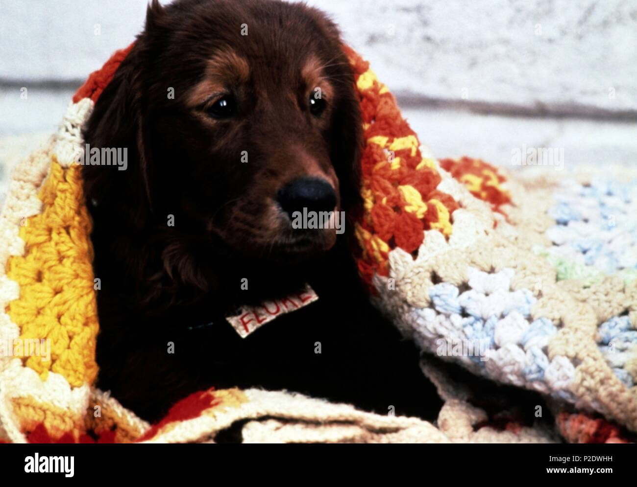 Fluke film -Fotos und -Bildmaterial in hoher Auflösung – Alamy