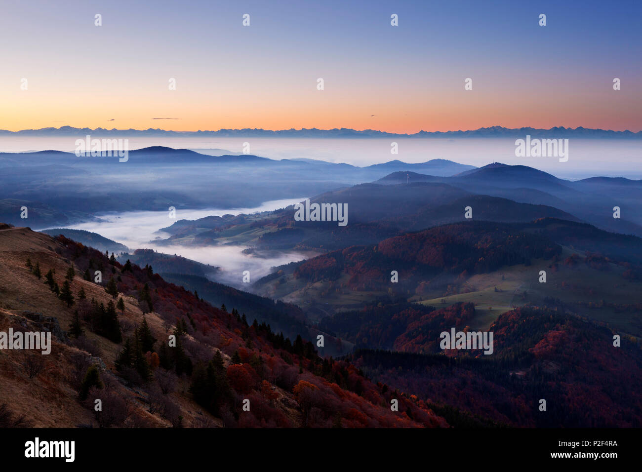 Nebel Im Schwarzwald Stockfotos und -bilder Kaufen - Alamy