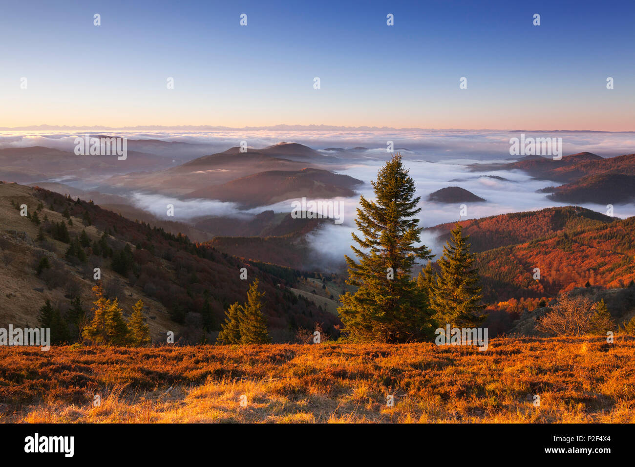 Belchen alpen -Fotos und -Bildmaterial in hoher Auflösung – Alamy