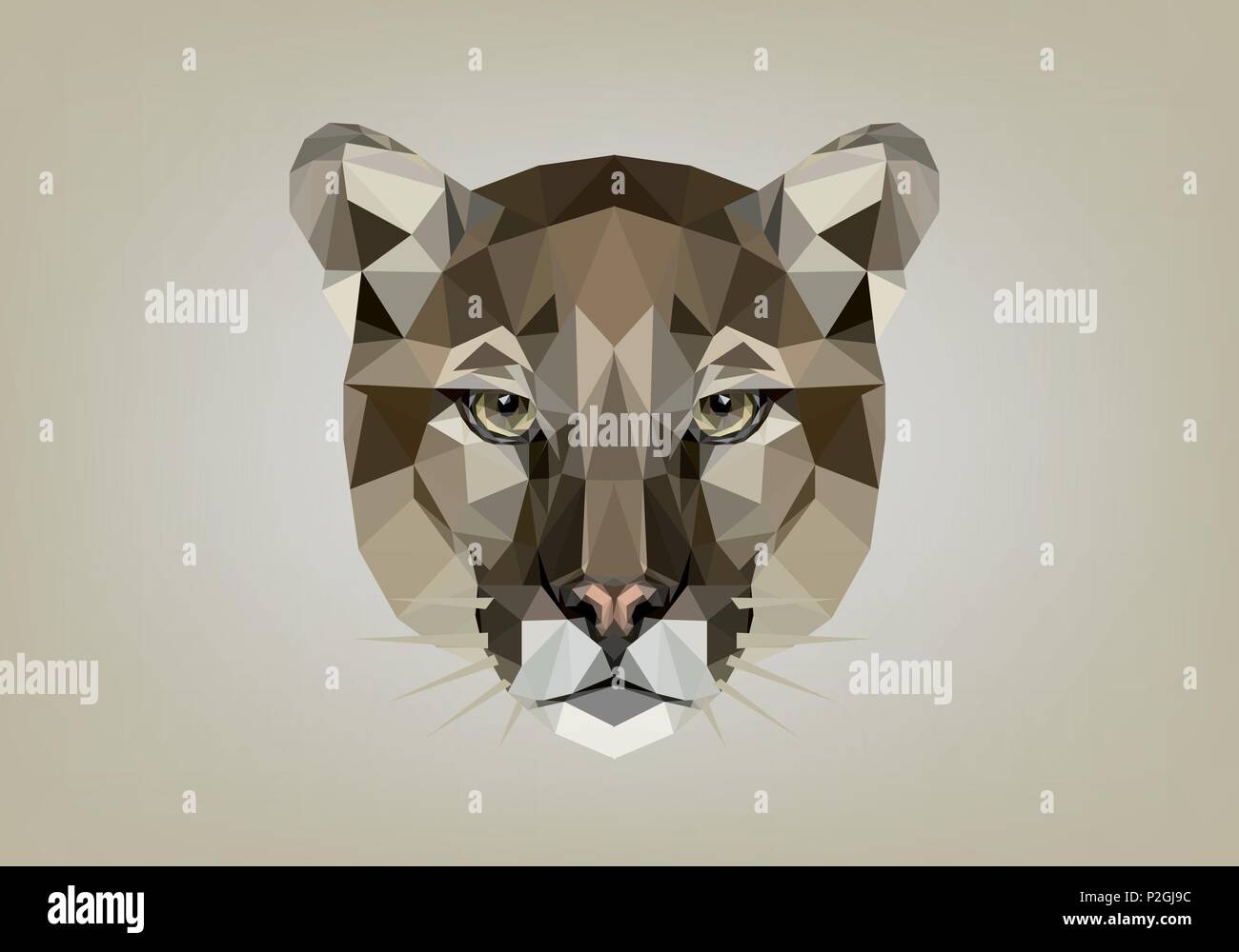 Gepard drawing Stock-Vektorgrafiken kaufen - Alamy