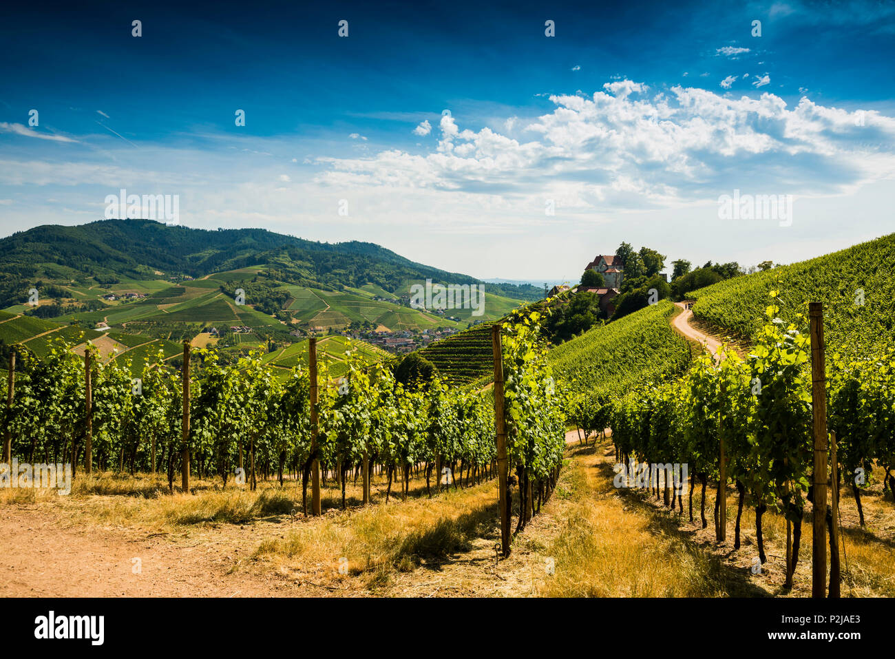 Durbach baden wurttemberg germany black -Fotos und -Bildmaterial in ...