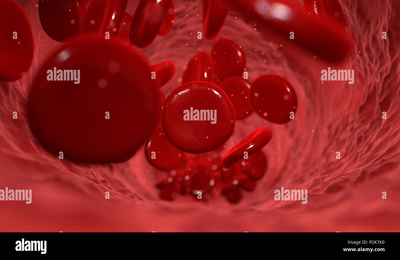 Plasma blutzellen Stockfotos und -bilder Kaufen - Alamy