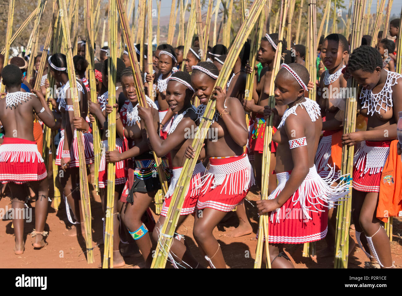 Swazi Mädchen mit Schilf Parade in Umhlanga (Reed Dance Festival ...