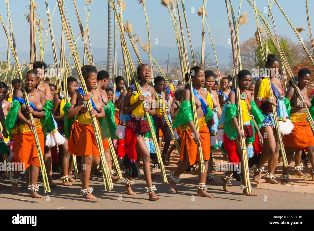 Swazi Mädchen mit Schilf Parade in Umhlanga (Reed Dance Festival ...