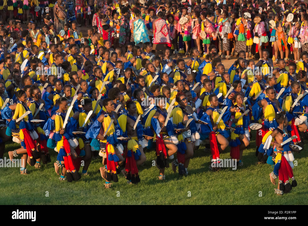 Swazi Mädchen Parade in Umhlanga (Reed Dance Festival), Swasiland ...