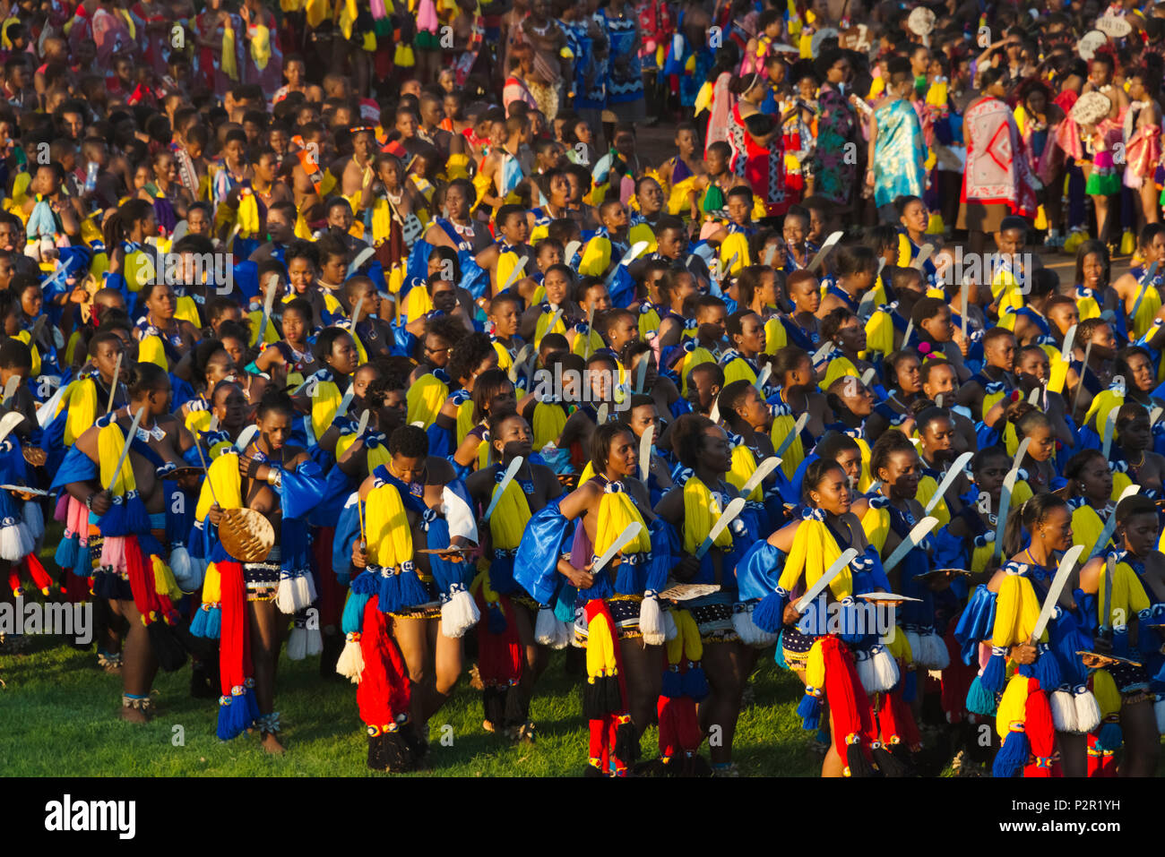 Swazi Mädchen Parade in Umhlanga (Reed Dance Festival), Swasiland ...