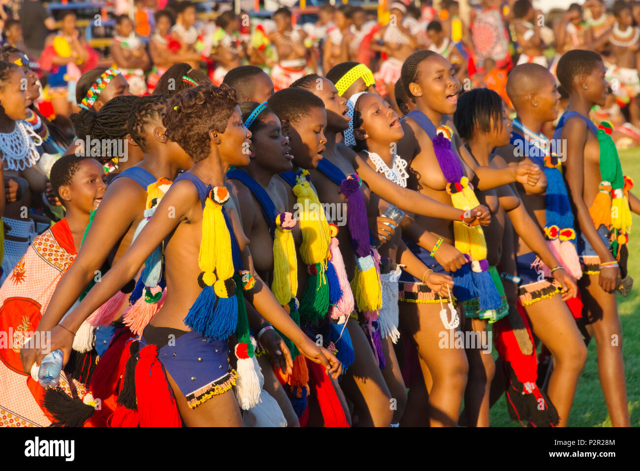Reed dance swaziland -Fotos und -Bildmaterial in hoher Auflösung – Alamy