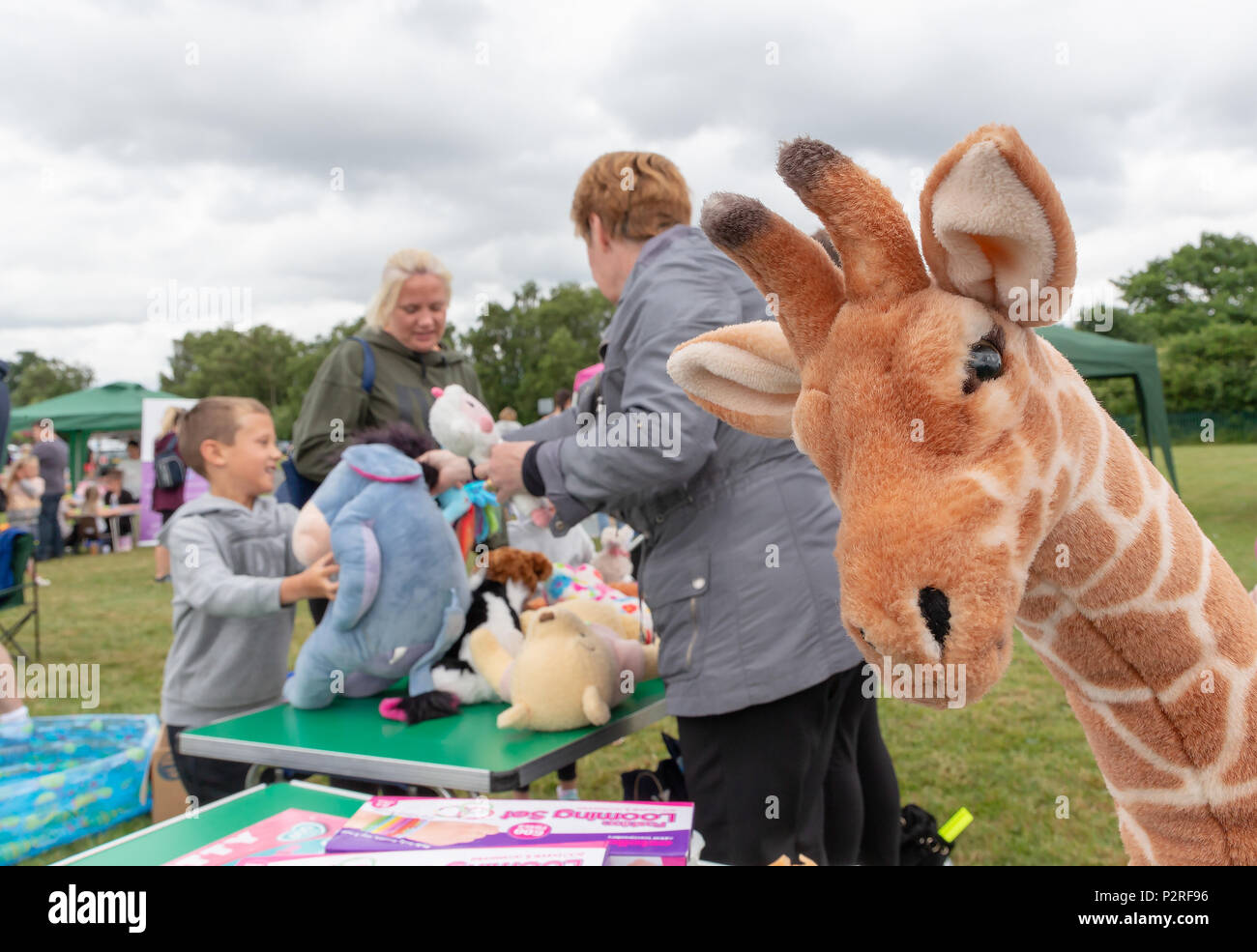 Gt sankey -Fotos und -Bildmaterial in hoher Auflösung – Alamy