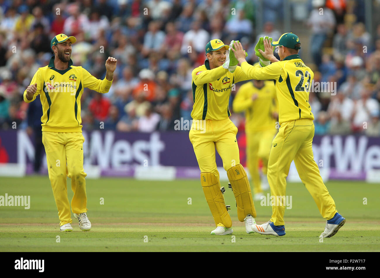 Australien darcy kurz -Fotos und -Bildmaterial in hoher Auflösung – Alamy