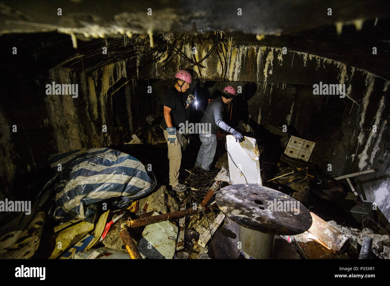 Roschling -Fotos und -Bildmaterial in hoher Auflösung – Alamy