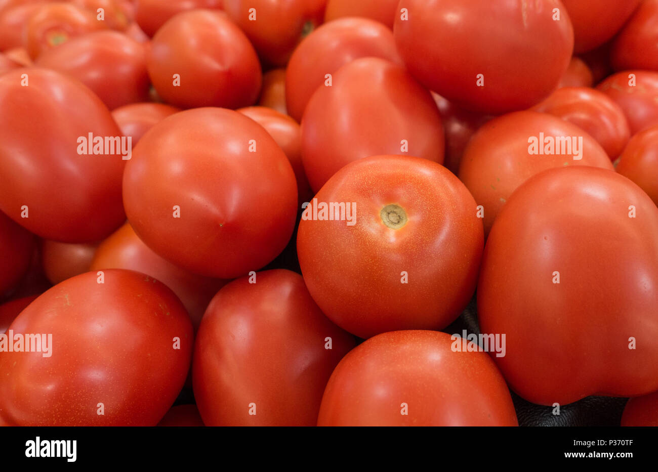 Lose tomaten -Fotos und -Bildmaterial in hoher Auflösung – Alamy