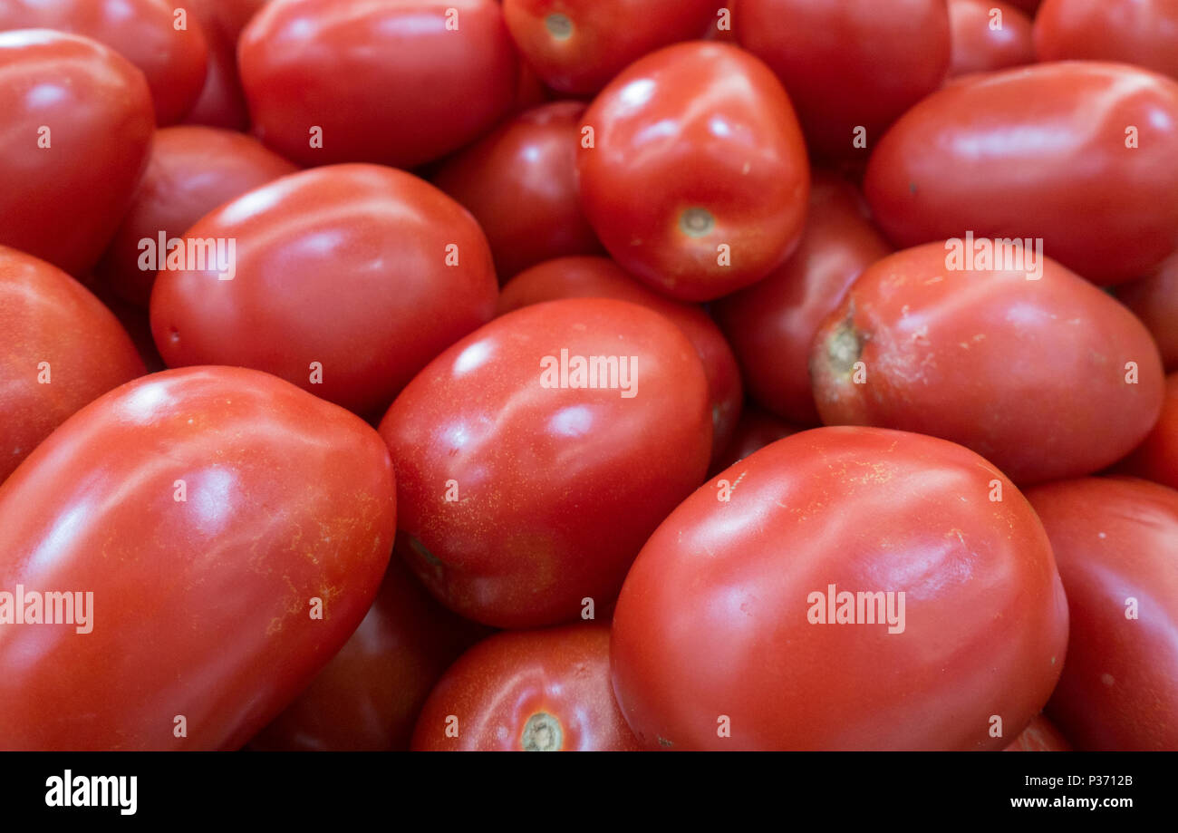 Lose tomaten -Fotos und -Bildmaterial in hoher Auflösung – Alamy