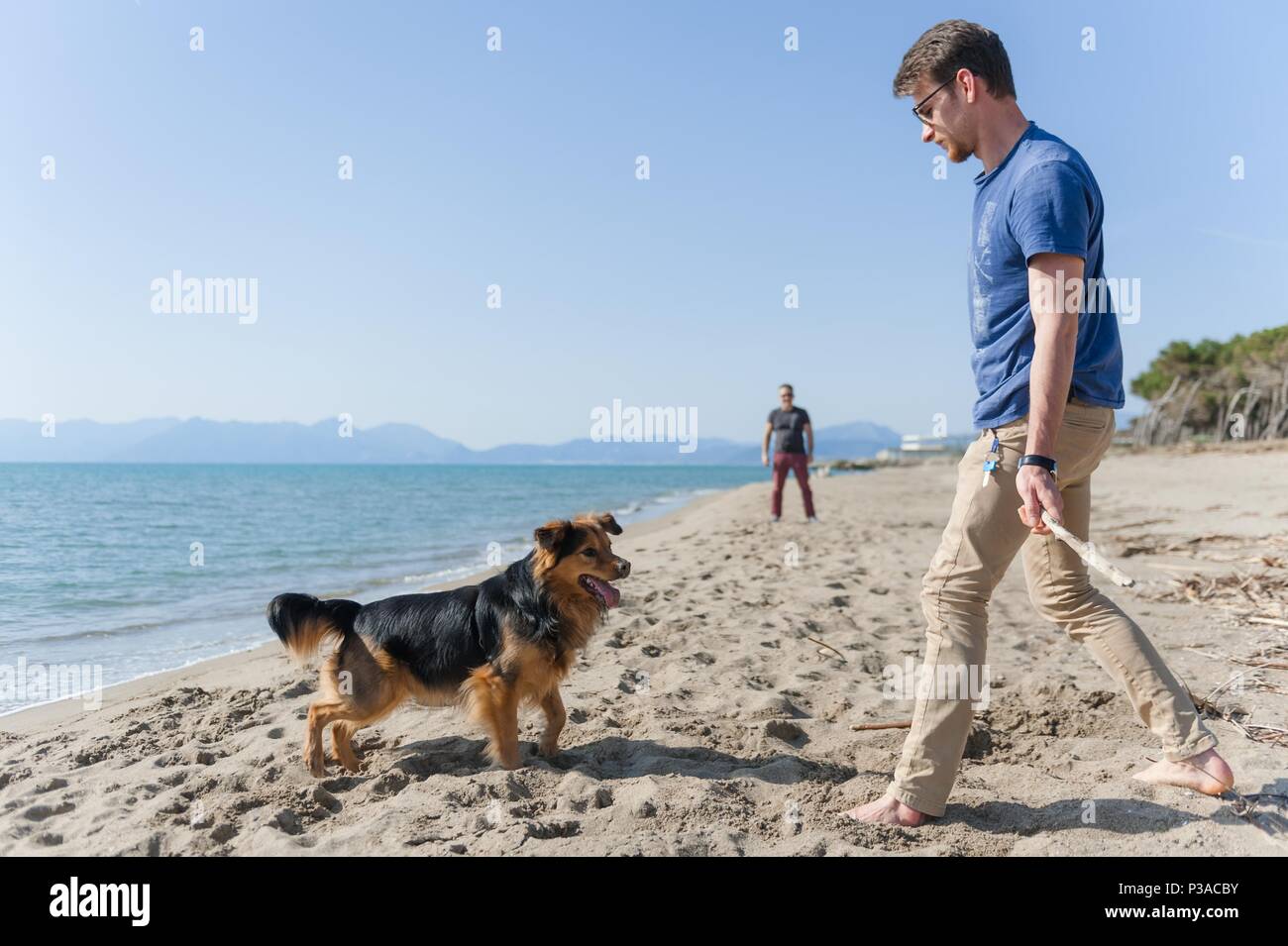 Mann Hund Am Strand Stockfotos und -bilder Kaufen - Alamy
