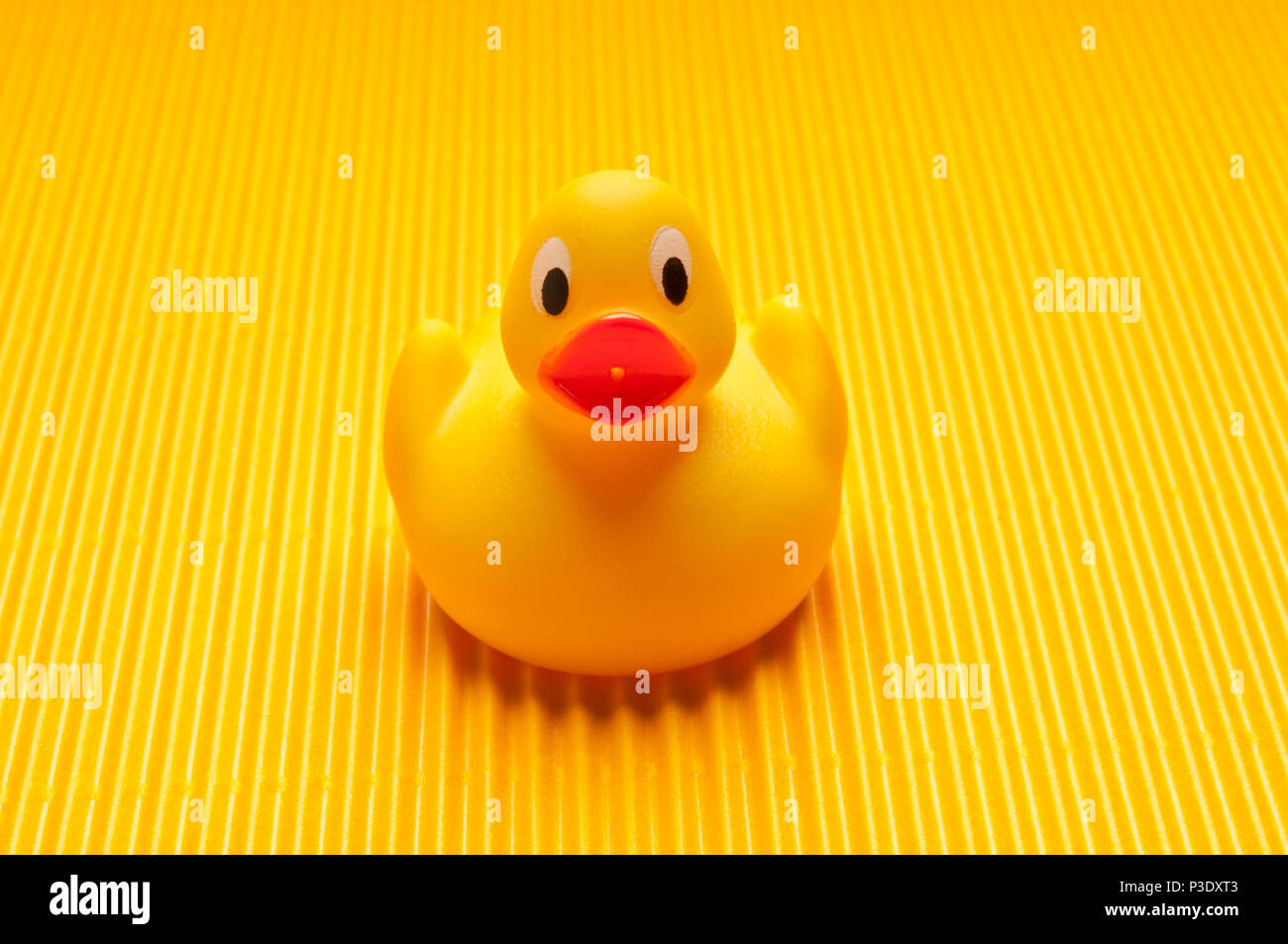 Ente gelb -Fotos und -Bildmaterial in hoher Auflösung – Alamy