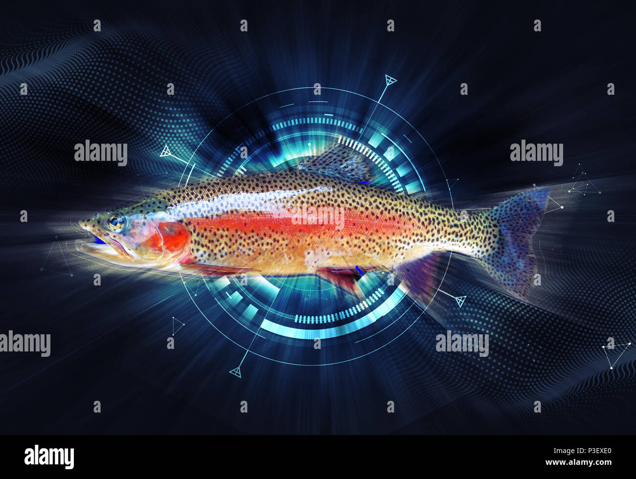Fisch schwanzflosse -Fotos und -Bildmaterial in hoher Auflösung – Alamy
