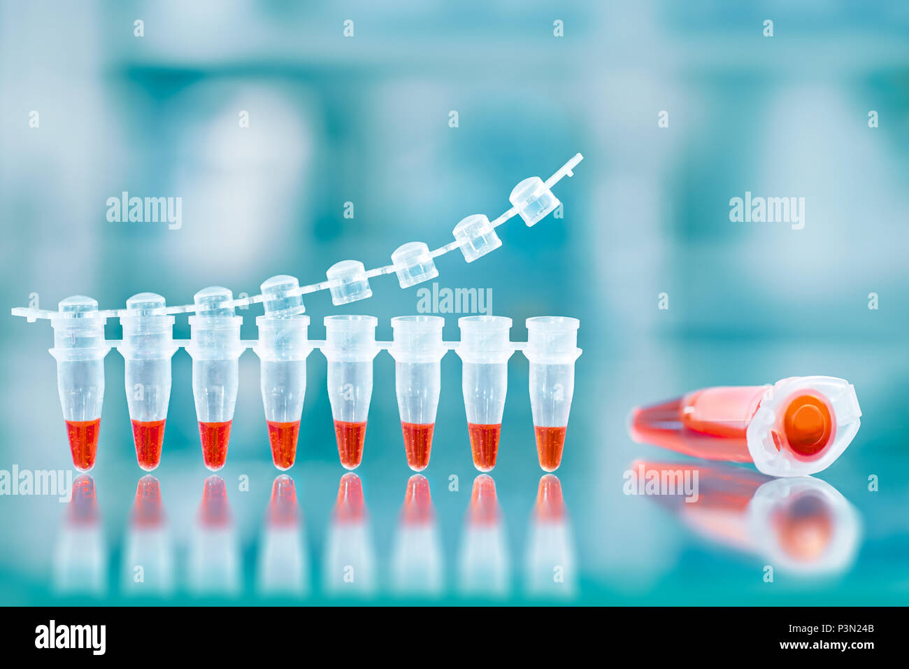DNA-Amplifikation test und Reaktionsmischung in größeren Rohr an der ...