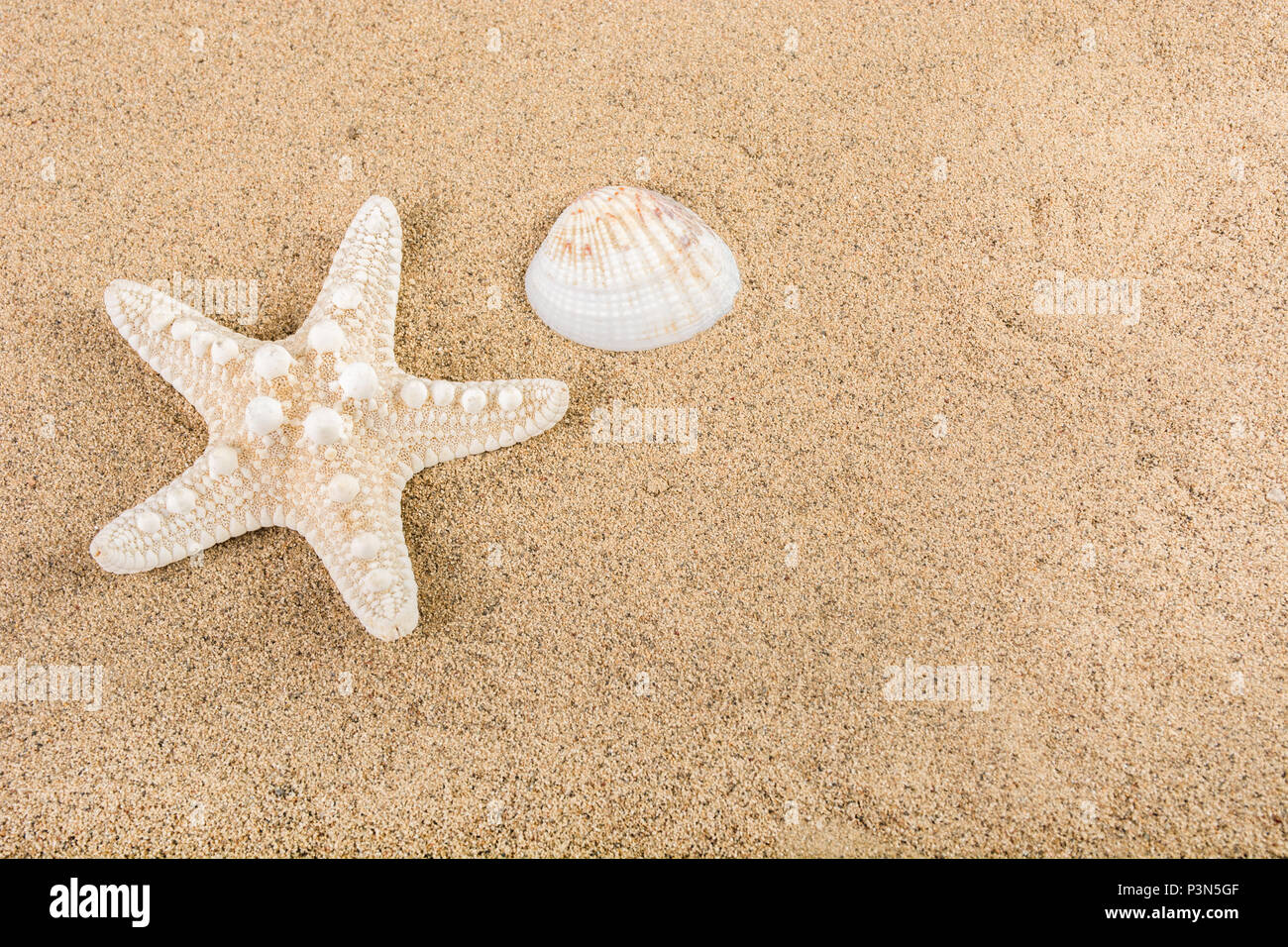 Sandy content -Fotos und -Bildmaterial in hoher Auflösung – Alamy