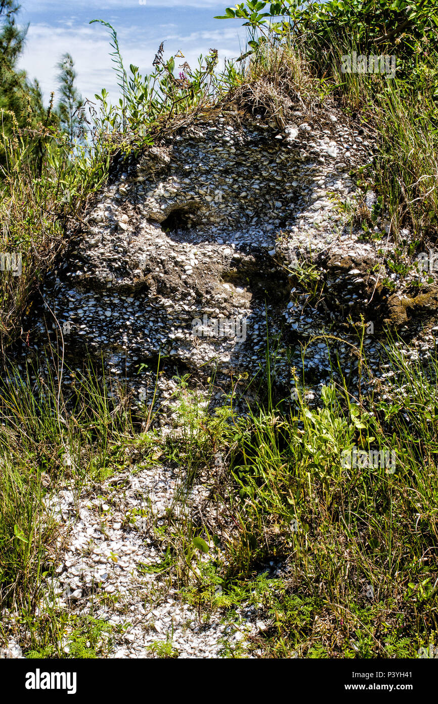 Sambaqui de Garopaba do Sul, um sítio Arqueológico com cerca de 5.000 ...
