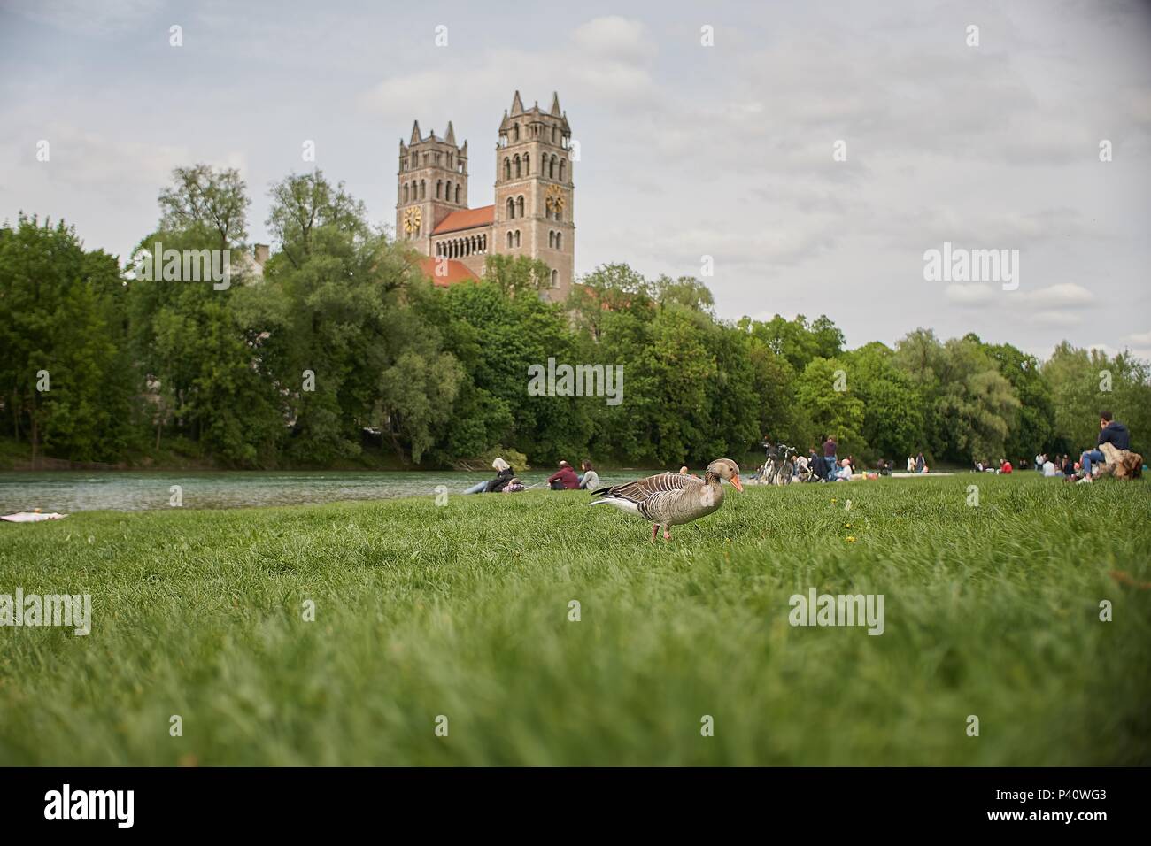 Flaucher at isar river -Fotos und -Bildmaterial in hoher Auflösung – Alamy
