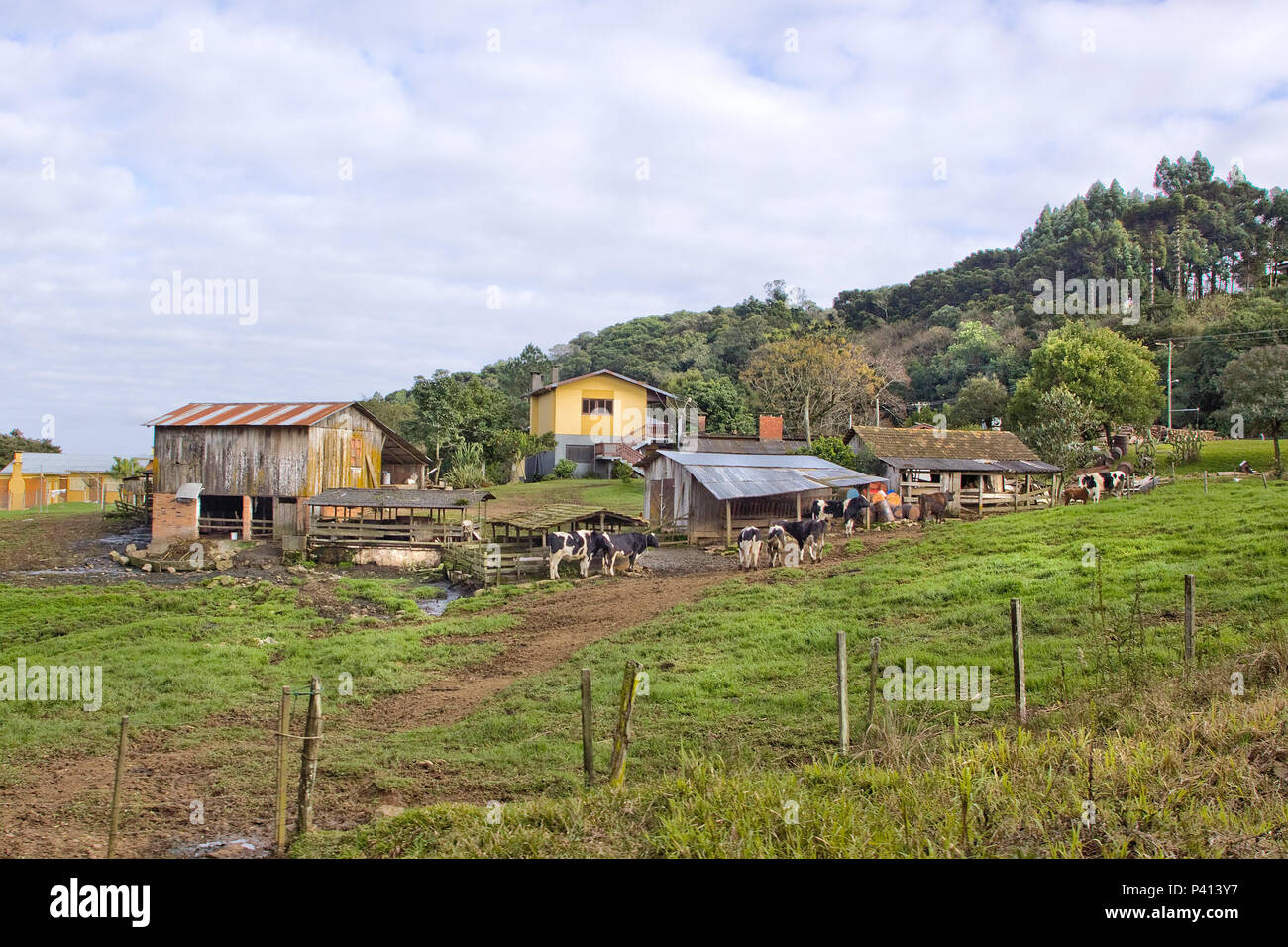 Garibaldi-RS Paisagem ländlichen Gado Curral Zona Rural Zona Rural de ...