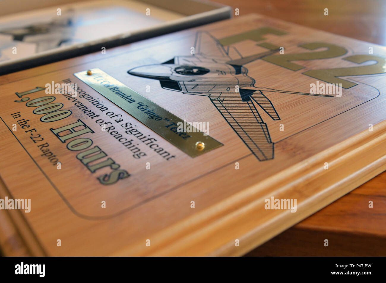 Luftwaffe Oberstleutnant Brandon Tellez, 525th Fighter Squadron ...