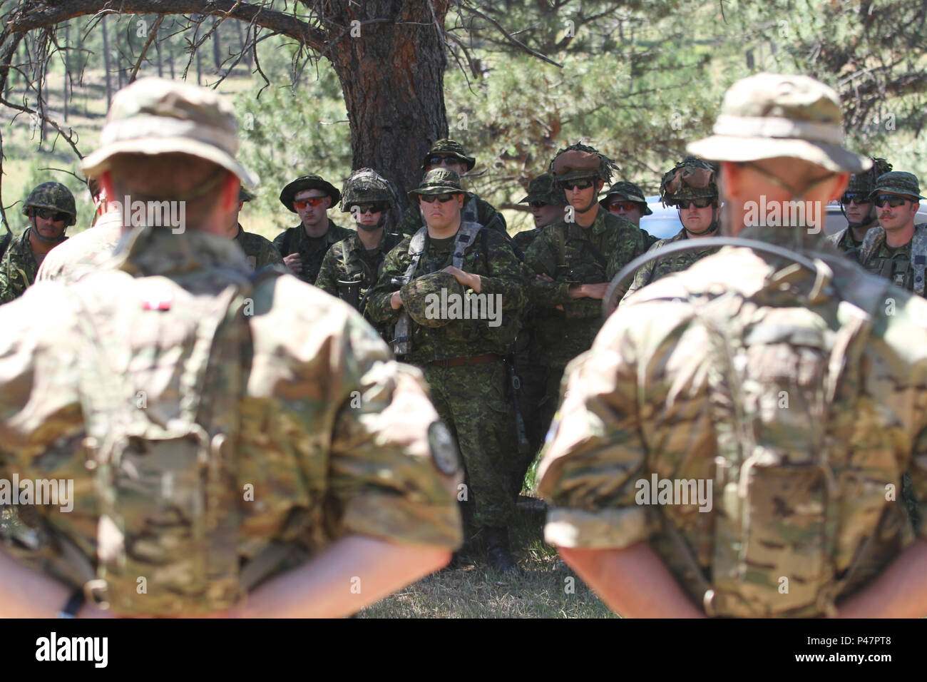 Soldaten der Dänischen Home Guard geben eine Mission und Sicherheit ...