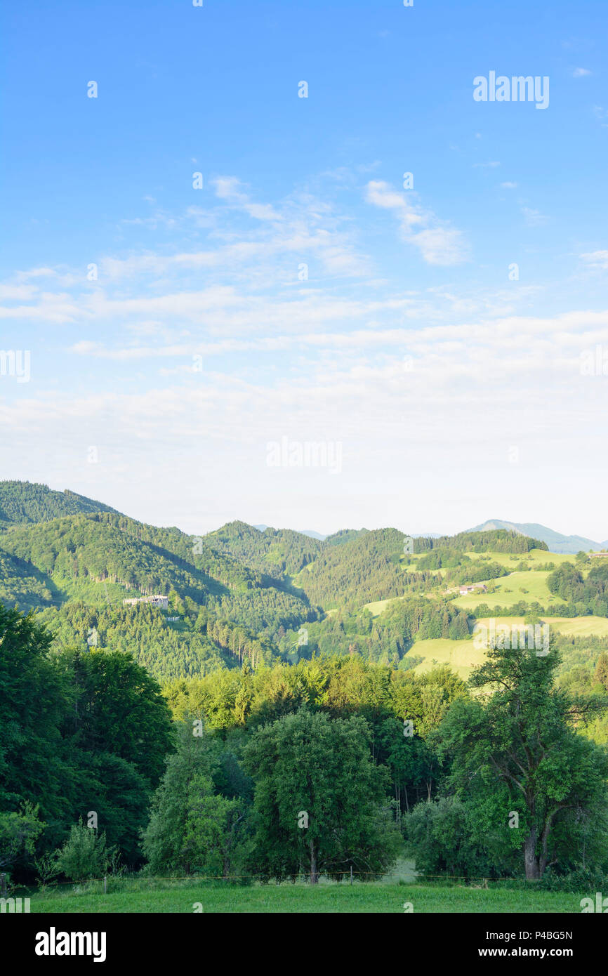 Schloss reinsberg -Fotos und -Bildmaterial in hoher Auflösung – Alamy