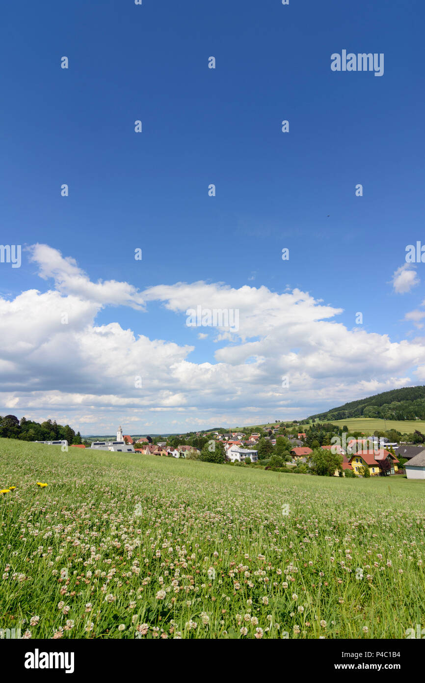 Kilb, Dorf Kilb, Wiese, Region Mostviertel, Niederösterreich ...