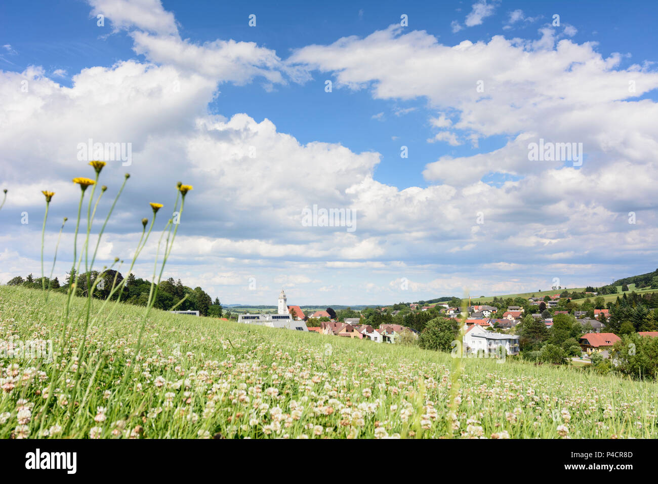 Dorf kilb -Fotos und -Bildmaterial in hoher Auflösung – Alamy