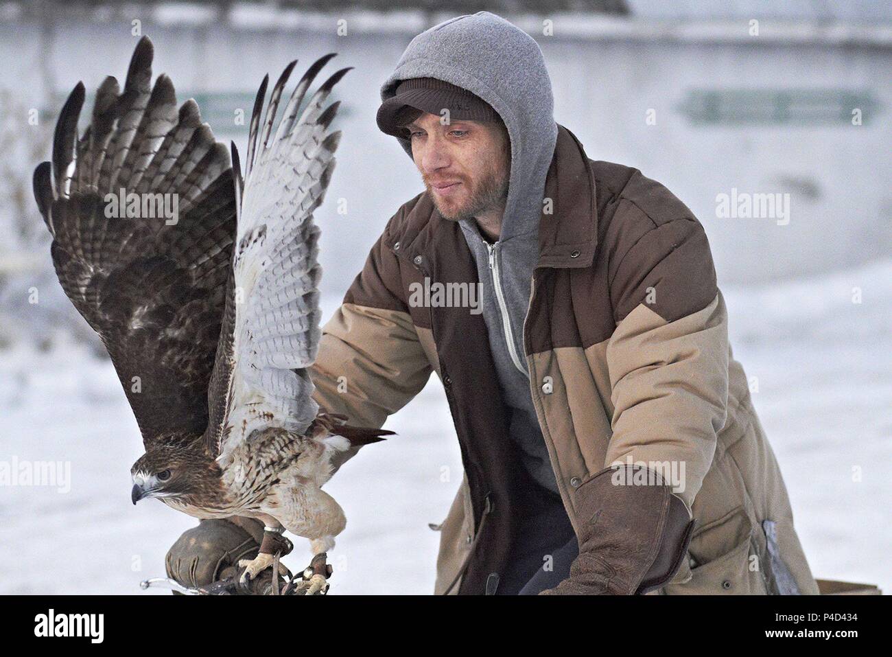 Cillian murphy aloft -Fotos und -Bildmaterial in hoher Auflösung – Alamy