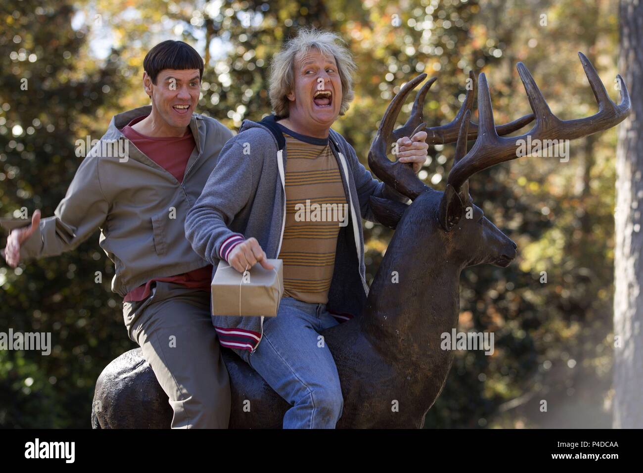 Dumb and dumber -Fotos und -Bildmaterial in hoher Auflösung – Alamy