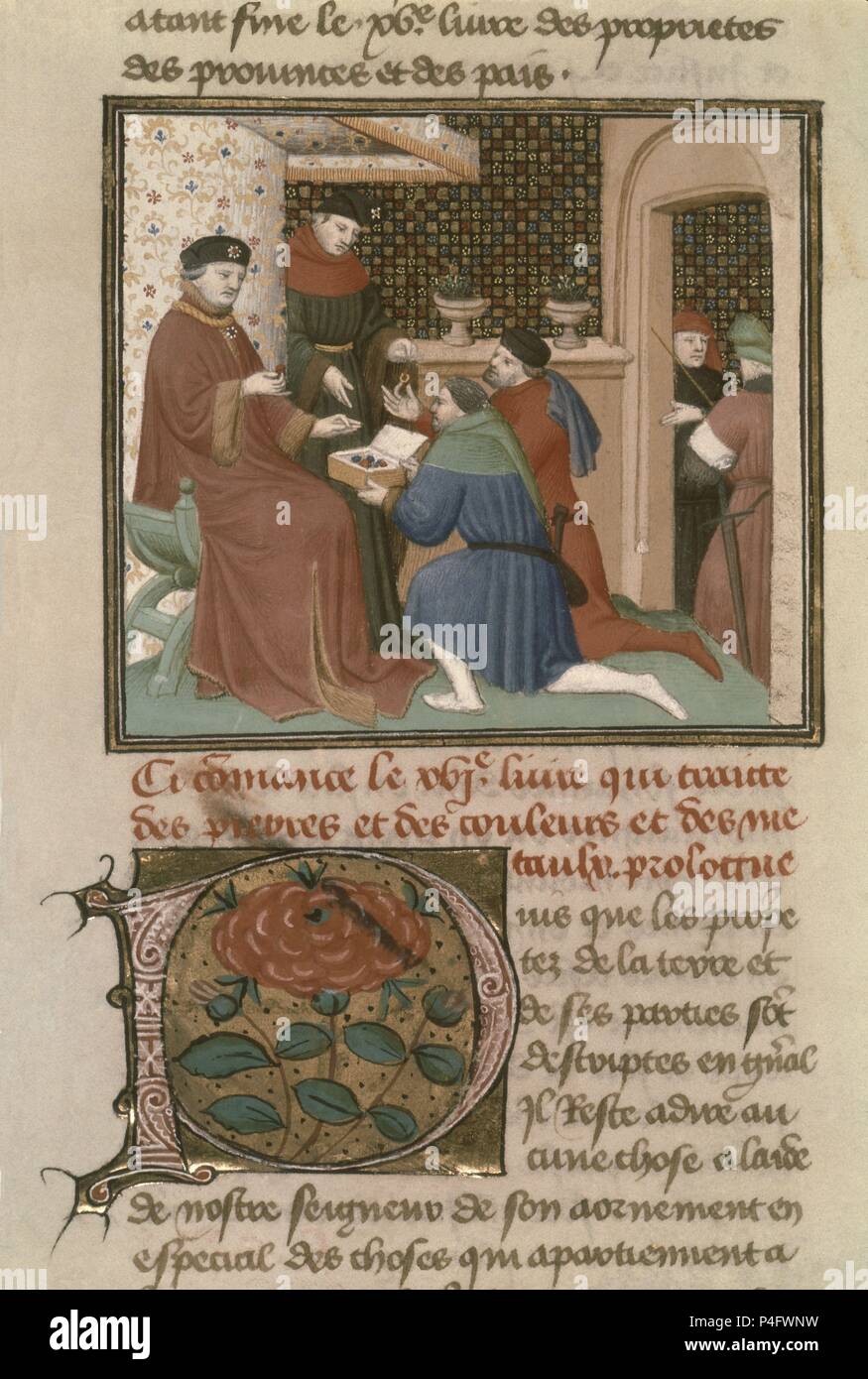 Bartholomaeus anglicus -Fotos und -Bildmaterial in hoher Auflösung – Alamy