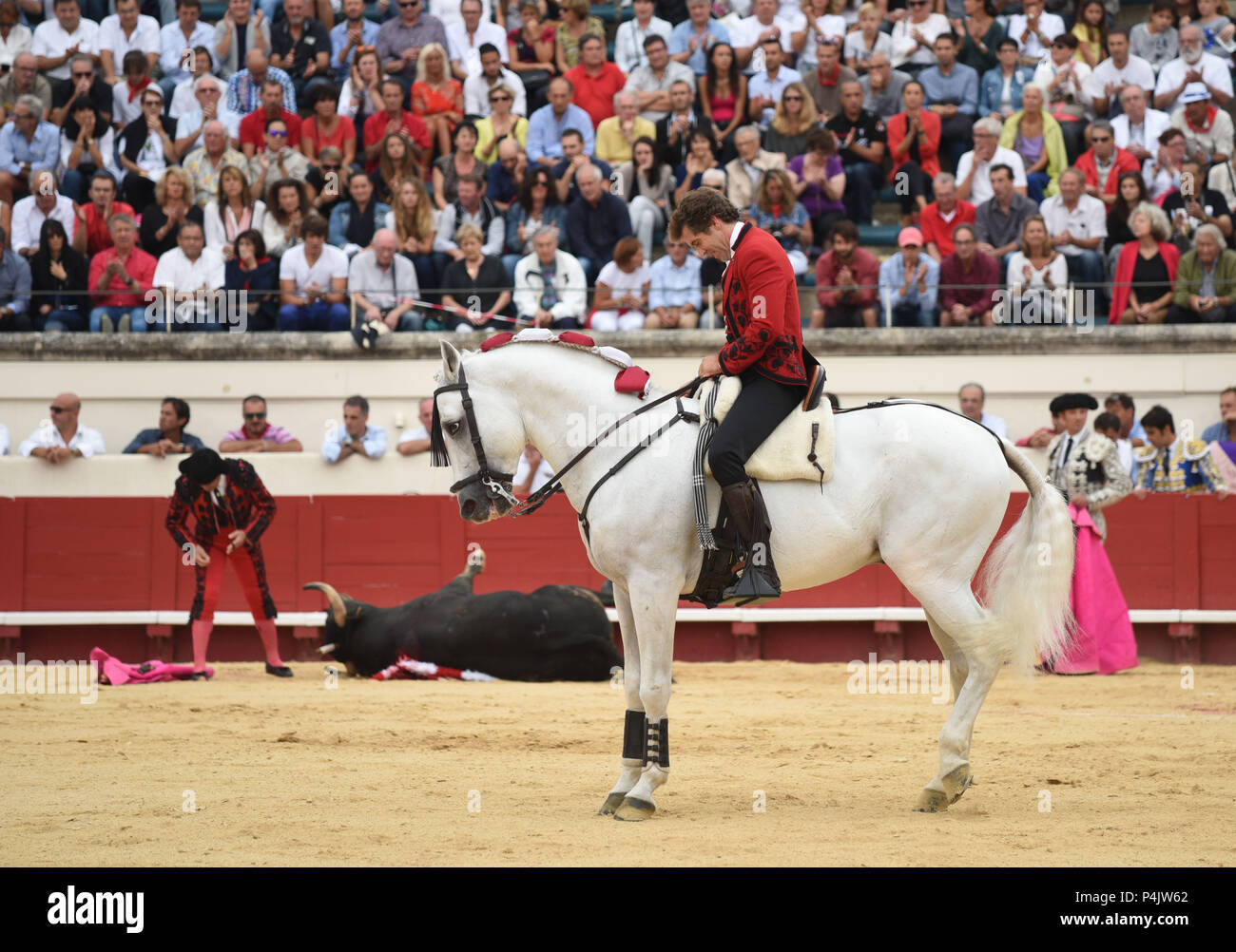 Famous bullfighting traditions -Fotos und -Bildmaterial in hoher ...