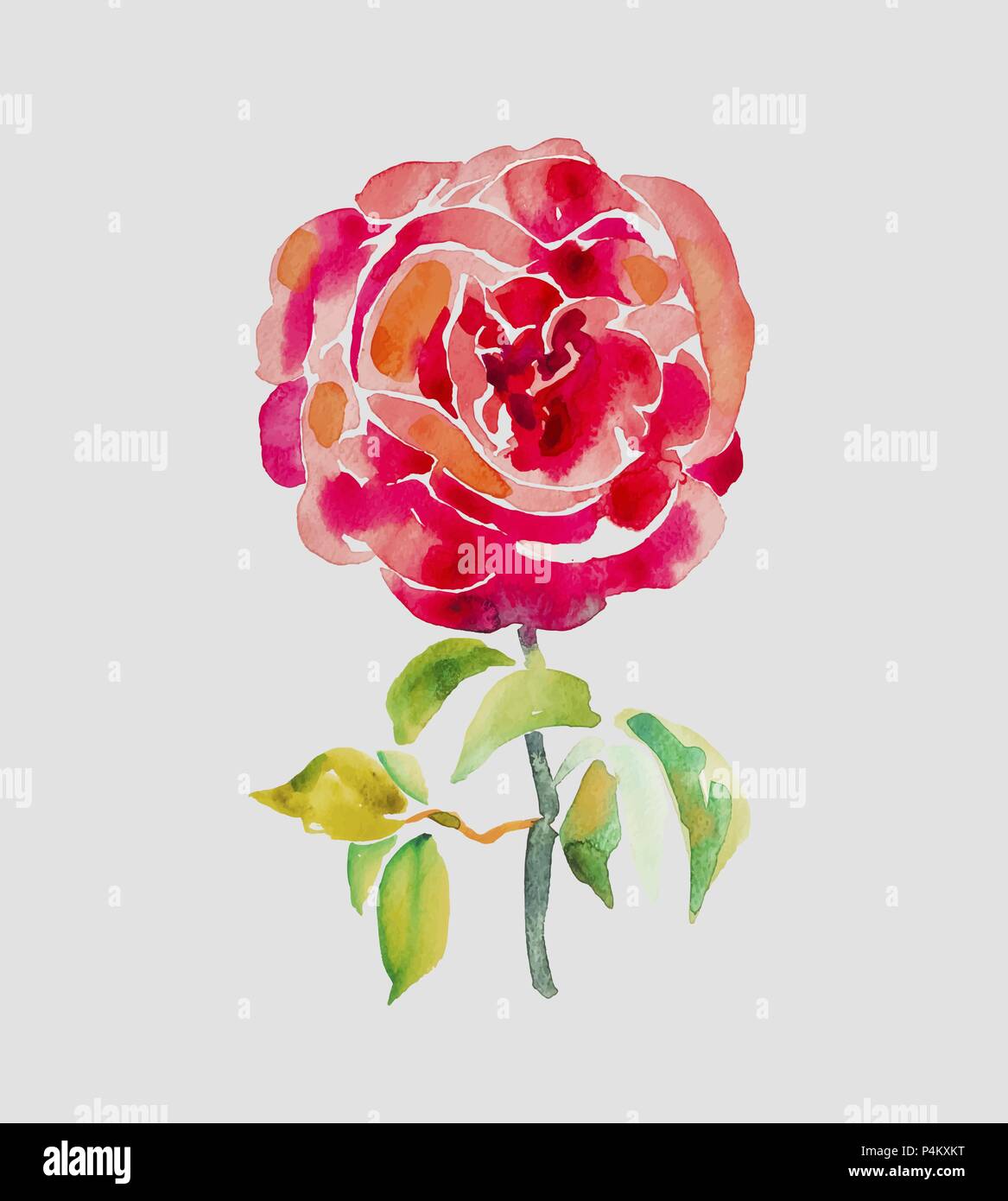 Rose gemalt Stock-Vektorgrafiken kaufen - Alamy
