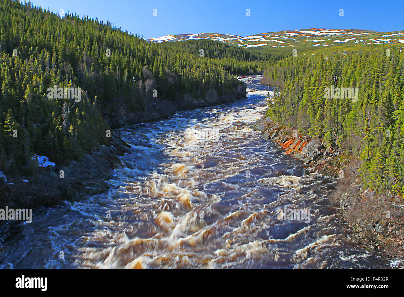 Newfoundland and labrador -Fotos und -Bildmaterial in hoher Auflösung ...