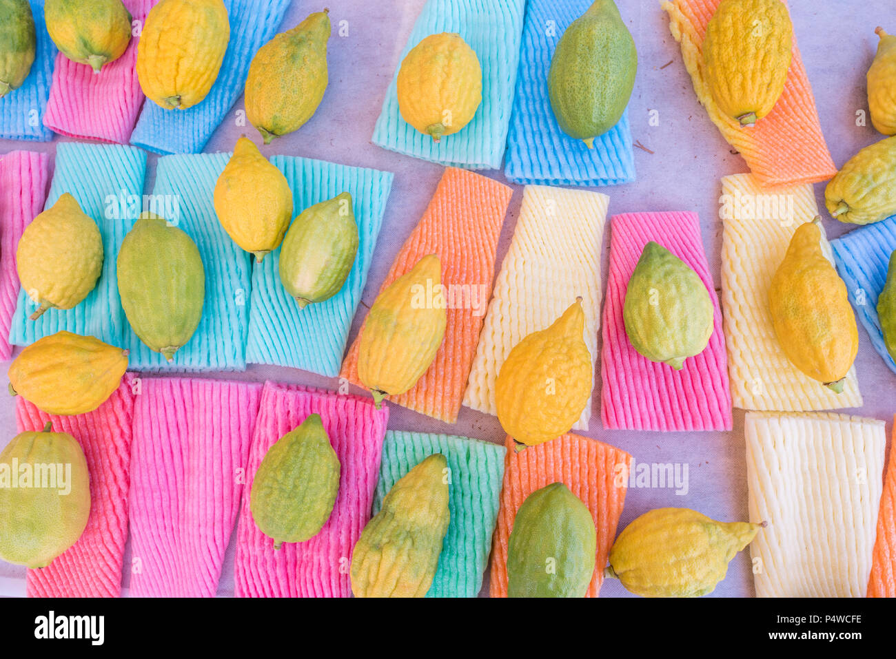 Etrog citron -Fotos und -Bildmaterial in hoher Auflösung – Alamy