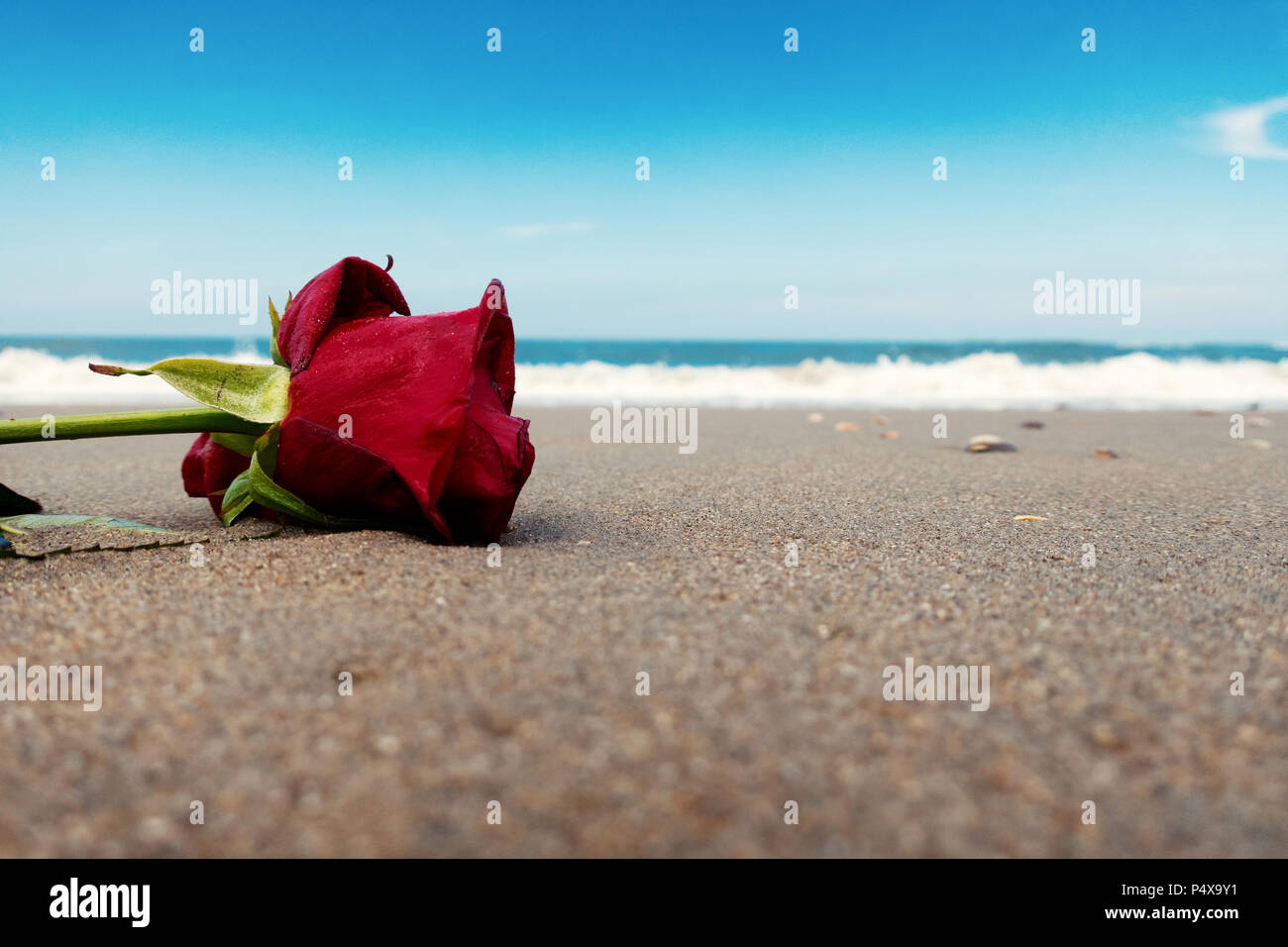 Geburtstag Am Strand Stockfotos und -bilder Kaufen - Alamy
